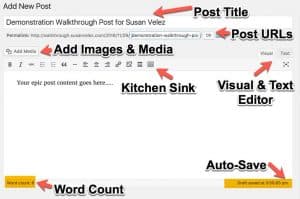 Write Your First Blog Post - Text Editor Explained