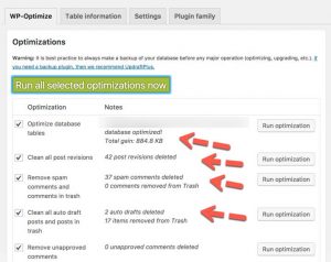 WordPress Database Clean Up Step By Step Plus My Page Load Speed