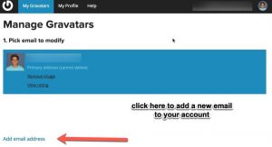How To Set Up A WordPress Gravatar - Why You Need One